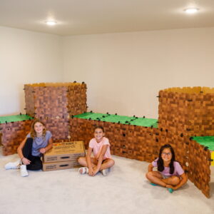 Minecraft Fort Kits (2 Pack) | Make-A-Fort